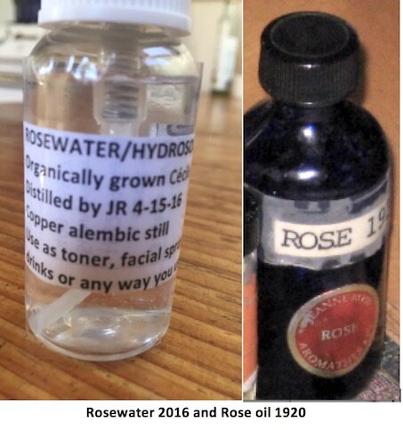 Roses ~ Grow for Scent - Aromatherapy Blog