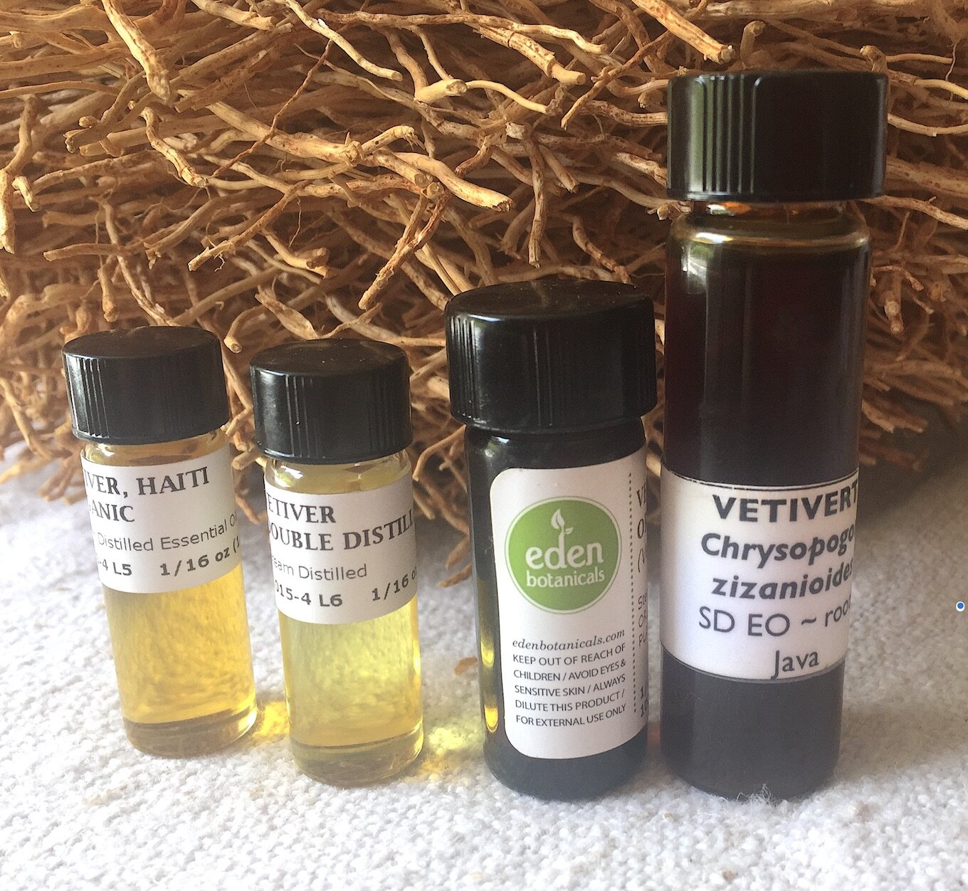 VETIVER PLANT/VETIVERT EO PROFILE - Aromatherapy Blog