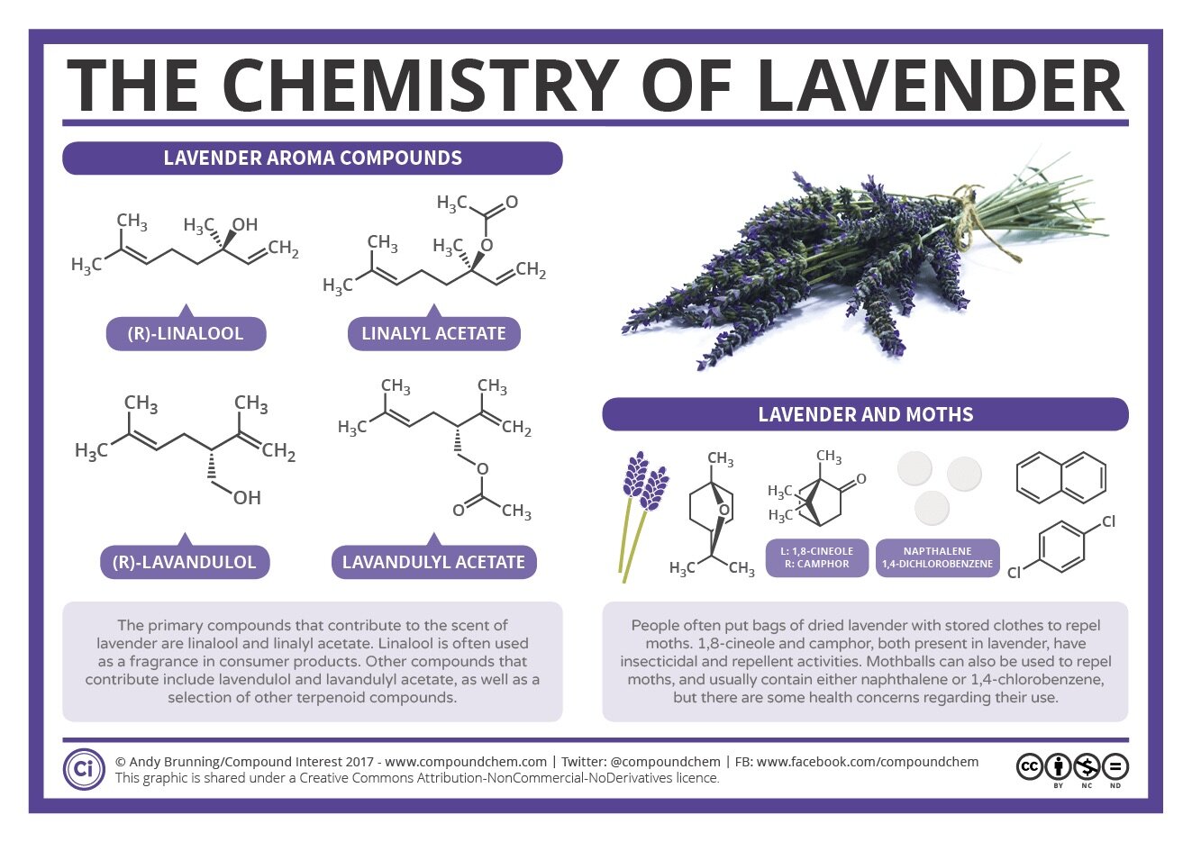 LAVENDER, Lavender, Lavender - Aromatherapy Blog