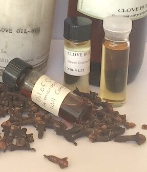 Clove EO/Herb Profile & Information - Aromatherapy Blog